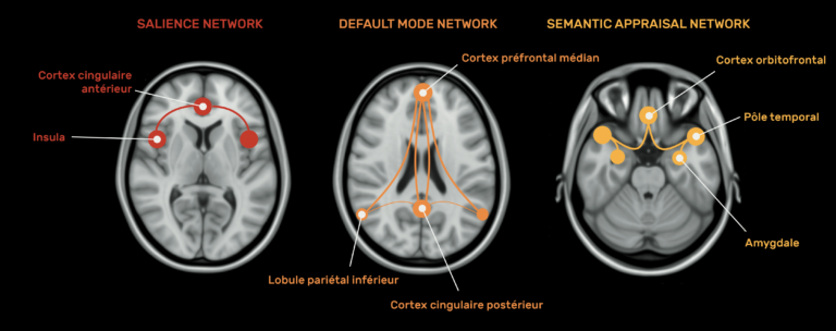 La cognition sociale dans les maladies neurodégénératives : définition ...